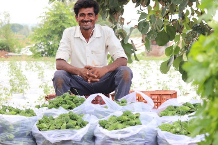 Agritech platform Gramophone raises funding of 25 crores - Farmer News ...