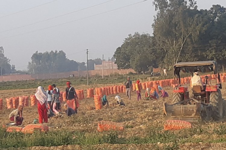 Govt should set up “National Rural Prosperity Fund” for improving ...