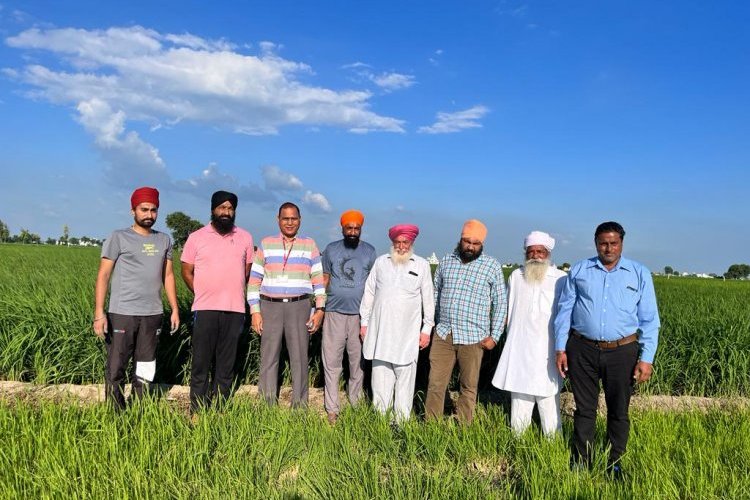 Fear of decline in rice production looms large as acreage down by 3.1mn ...