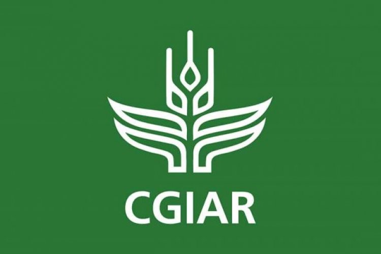 Merger of CGIAR Research Centres into “One CGIAR” poses great risks for ...