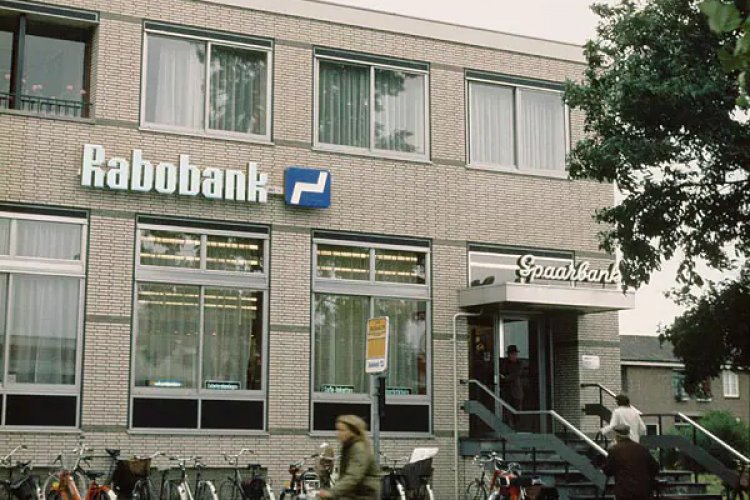 Bayer, Rabo Partnerships and Mastercard join hands to accelerate ...