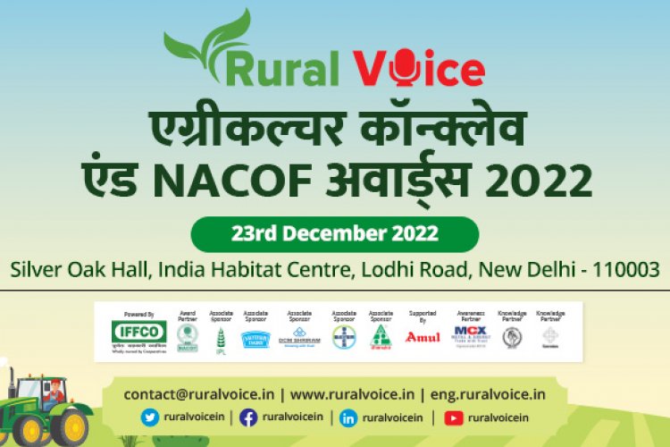 Experts to discuss role of technology and marketing in rural economy ...