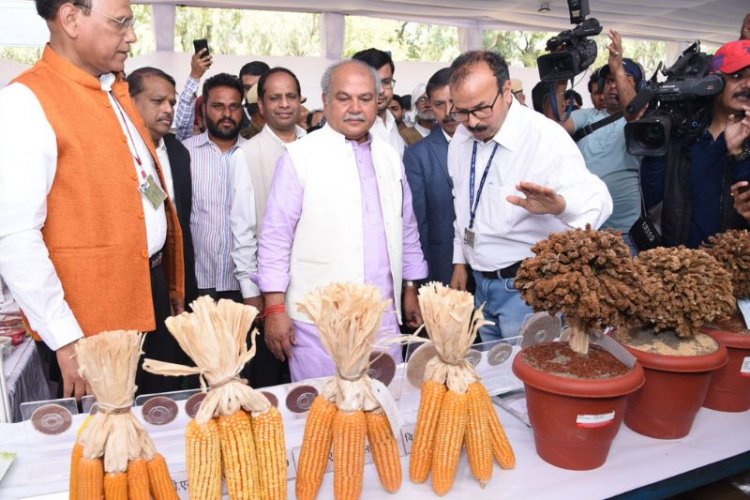 Tomar urges small farmers to grow more millets to help address ...