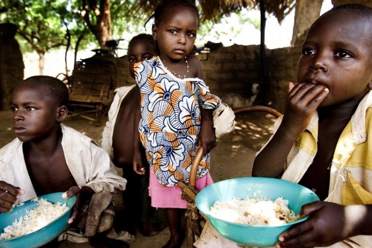 12.2 cr more people pushed into hunger since 2019 due to multiple ...