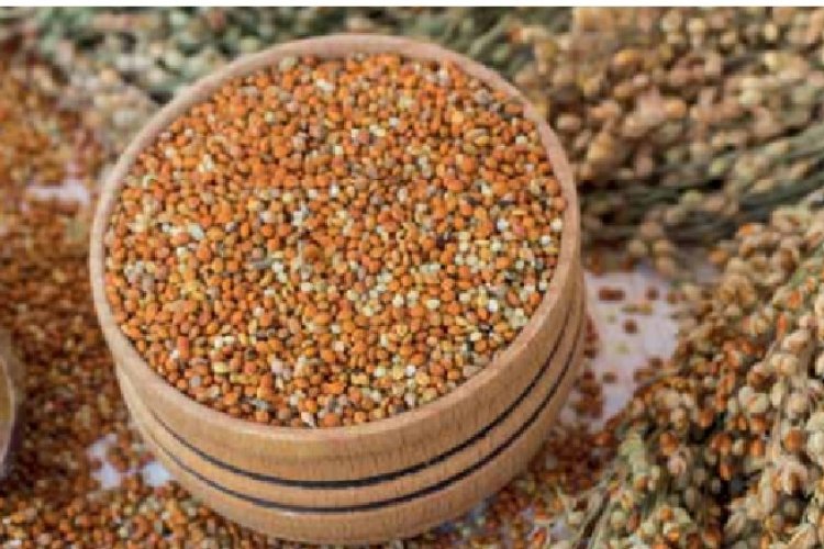 APEDA facilitates 500 startups to market and export millet based value ...