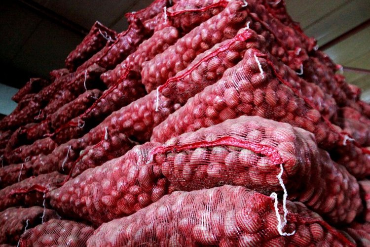 Centre allows export of 99150 MT onion to six countries including Bangladesh and UAE - Farmer ...