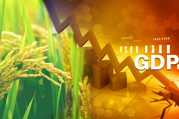 GDP to grow by 7.3pc, agri growth pegged at 1.8pc in 2023-24 - Farmer News: Government Schemes ...