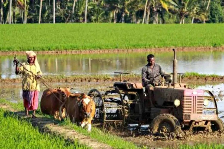 Enhance market linkage and incentivise investment is the demand from ...