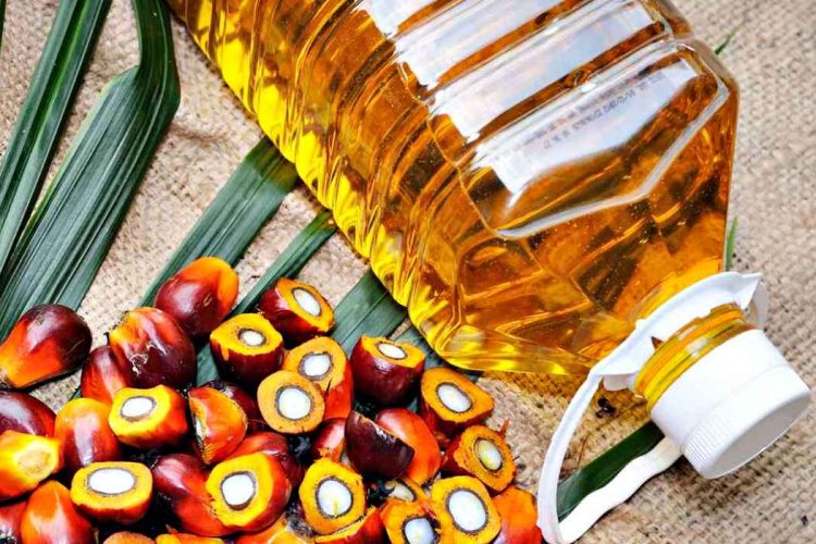 India's edible palm oil industry set for growth amid stable credit ...