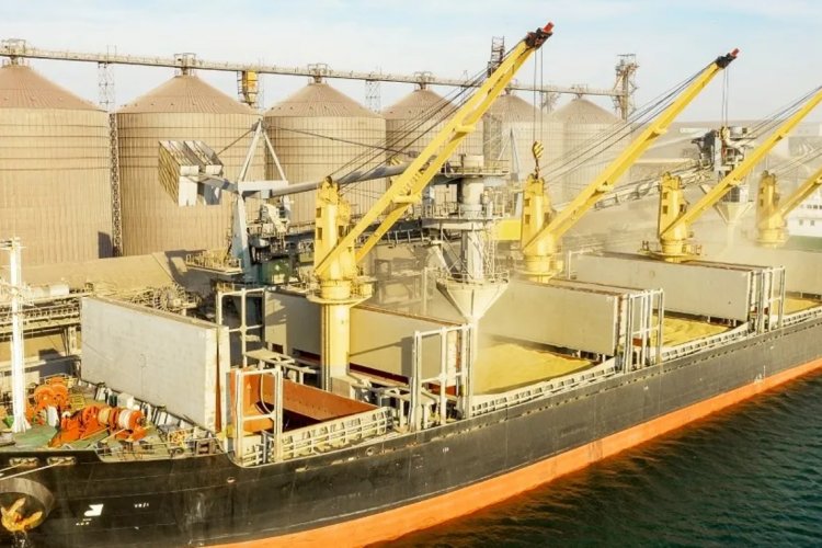 Global Grain Shipping Faces Low Freight Rates but High Uncertainty ...