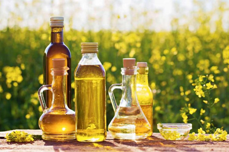 Centre approves Rs 10,103 crore National Edible Oil Mission to raise ...