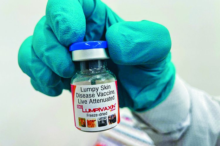 Vaccine Breakthrough: How India Developed the World’s First DIVA ...