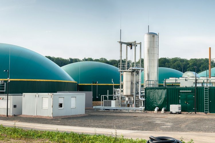 CBG Sector Gets Major Boost as MoPNG Revises Procurement Price to Rs ...
