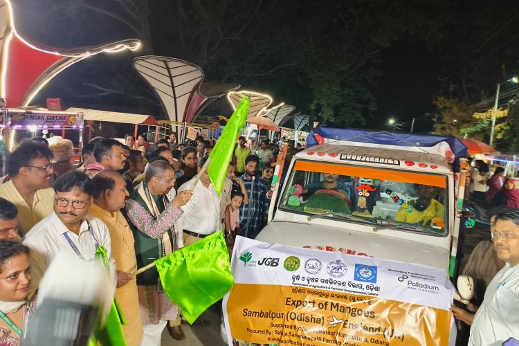 Odisha Makes History with Triple Mango Export to England and Dubai in a ...