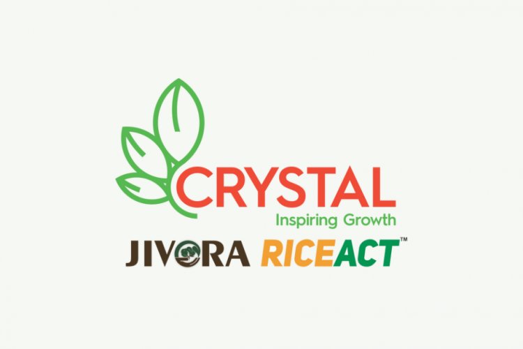 Crystal Crop Unveils RICEACT for Paddy, JIVORA for Cotton to Strengthen ...