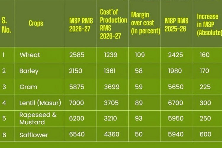 Cabinet Approves MSP Hike for Rabi Crops; Wheat Up by ₹160, Mustard by ...