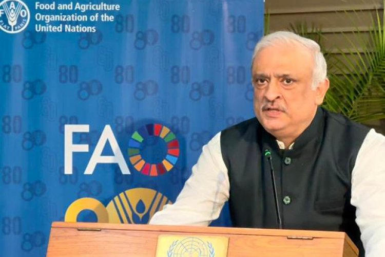 World Food Day 2025: Agriculture Secretary emphasized the need for ...