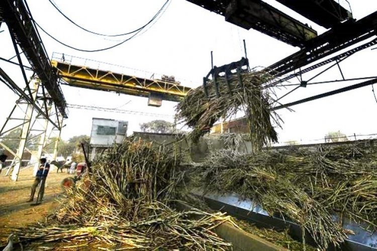 Sugarcane Crushing Gains Momentum, But Uncertainty Over Sugar MSP and ...
