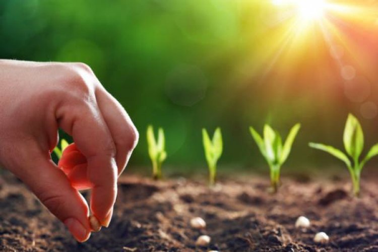 Seed Bill 2025: A Historic Reset for India’s Seed Sector - Farmer News ...